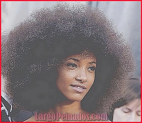 Tendencias de peinados afro para mujeres negras » Largo Peinados